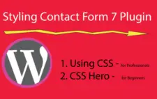 Tutorial - Styling your Contact Form 7 forms using 2 ways - 1. CSS way ...