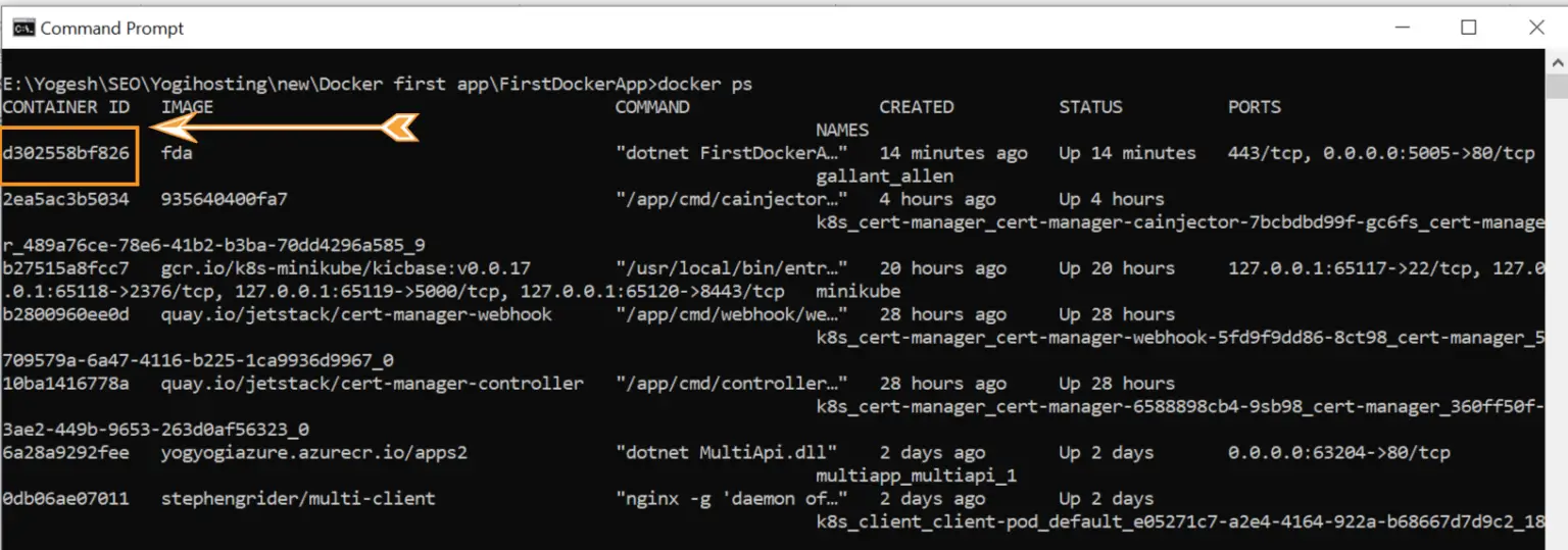 Create First Asp Net Core App In A Docker Container Vrogue